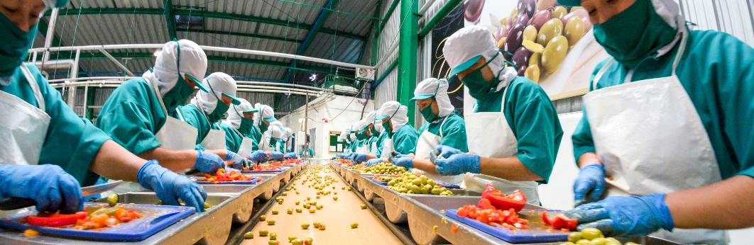 Importancia de un sistema de gestión de inocuidad de los alimentos.